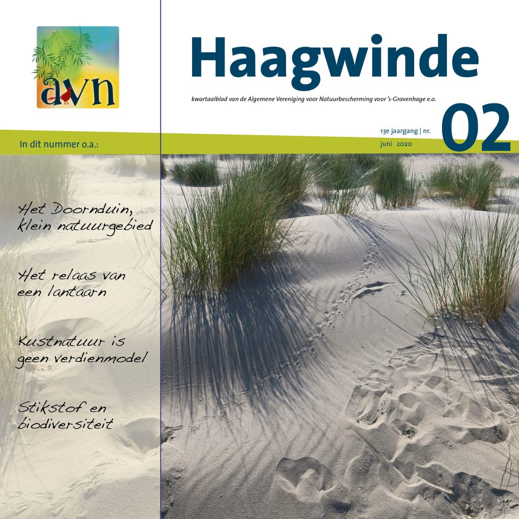 Haagwinde - AVN