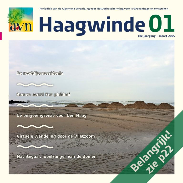De omgevingsvisie voor Den Haag - AVN